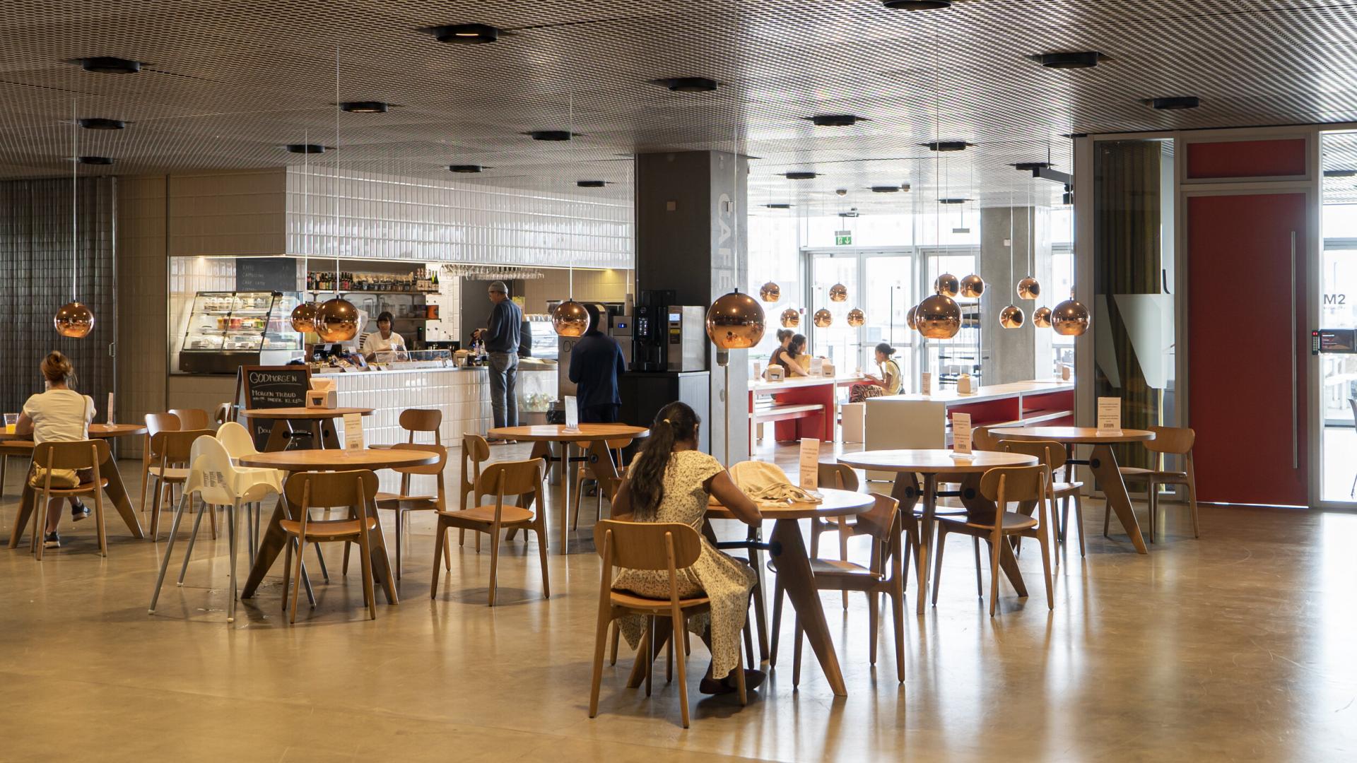 Library Professionals | Dokk1